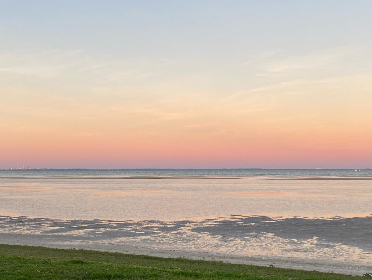 Lassing Park along St Petersburg Waterfront