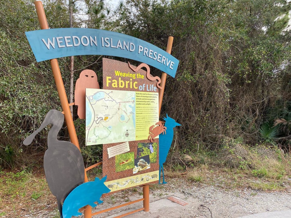 Weedon Island Preserve in Saint Petersburg a Waterfront Education