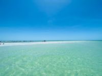 Passage Key - A Sandbar Paradise just south of St Petersburg