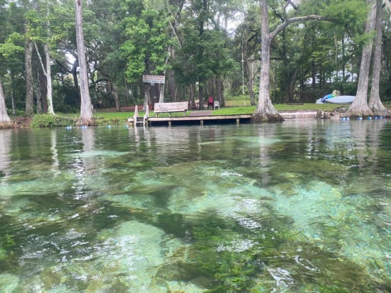 Rainbow River Tubing and Springs Daytrip to Dunnellon