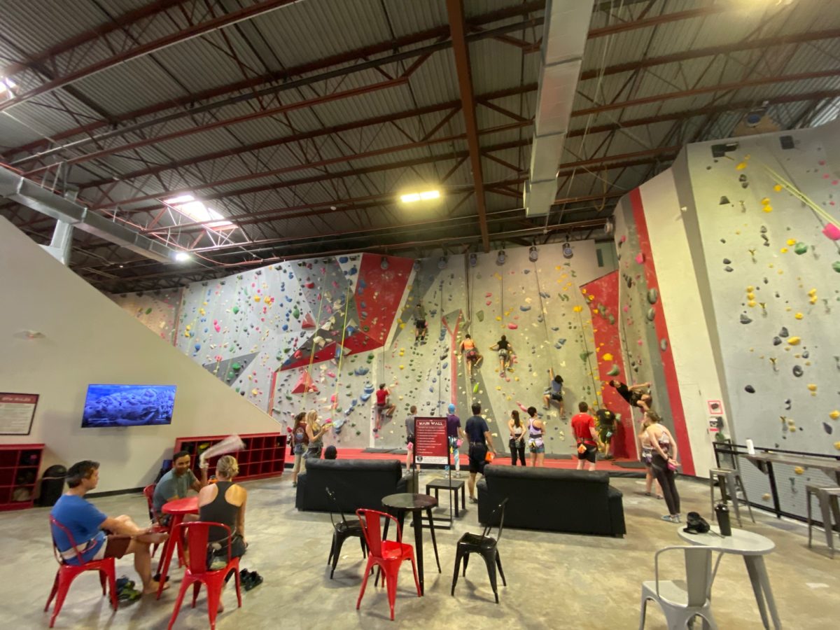 Vertical Ventures St Petersburg is Great for Kids and Adults
