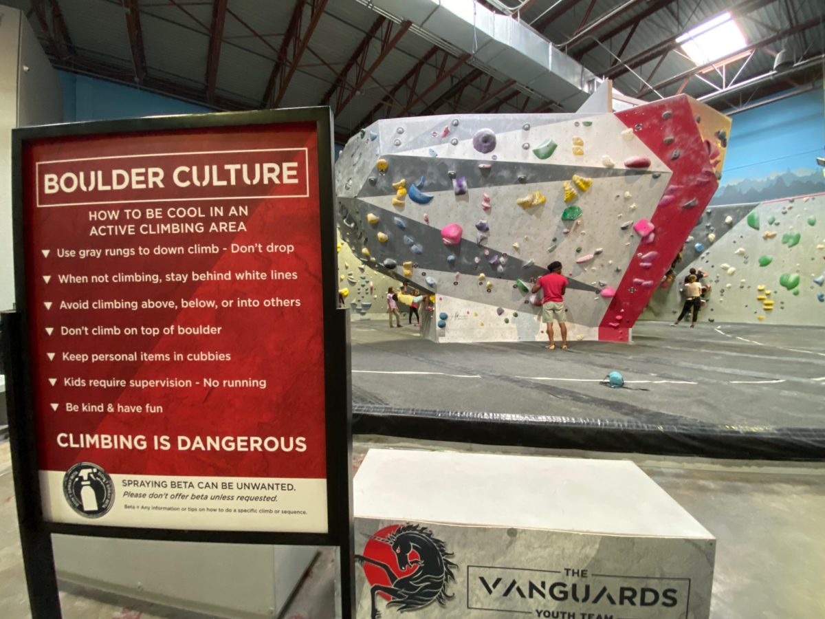 Vertical Ventures St Petersburg is Great for Kids and Adults