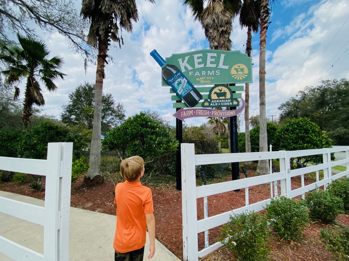 Keel & Curley Winery aka Keel Farms in Plant City - Fun for Family