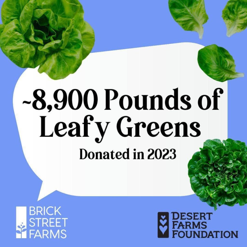 Brick Street Farms in Downtown St Petersburg for Healthy Greens