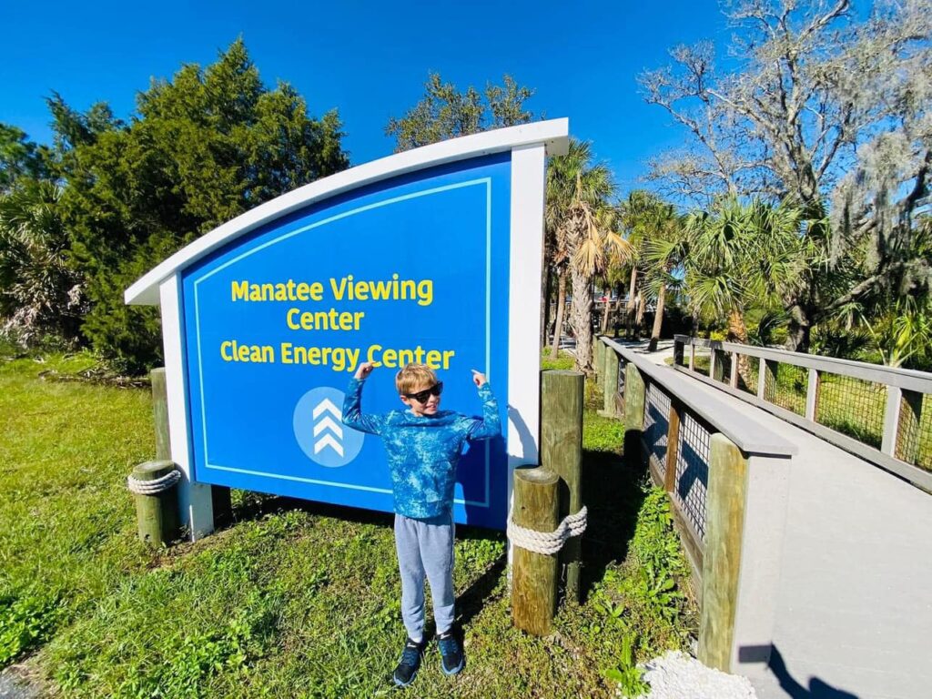TECO's Manatee Viewing Center is a Quick Daytrip from St Petersburg