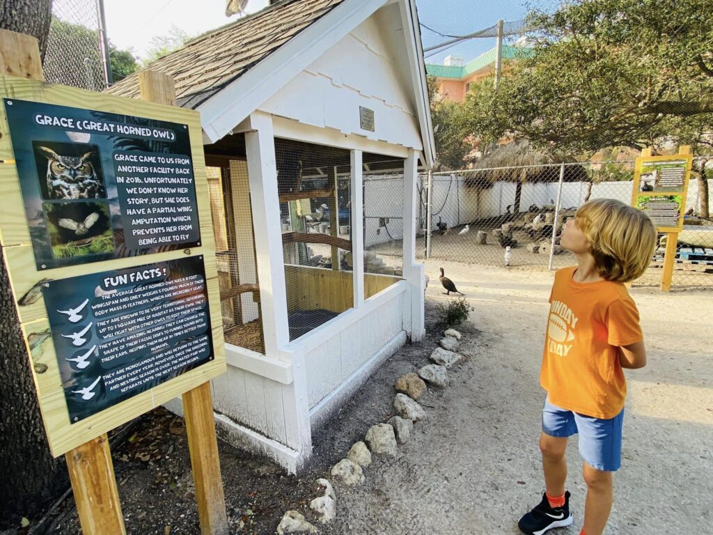 Seaside Seabird Sanctuary in Indian Rocks Florida - Bird Hospital