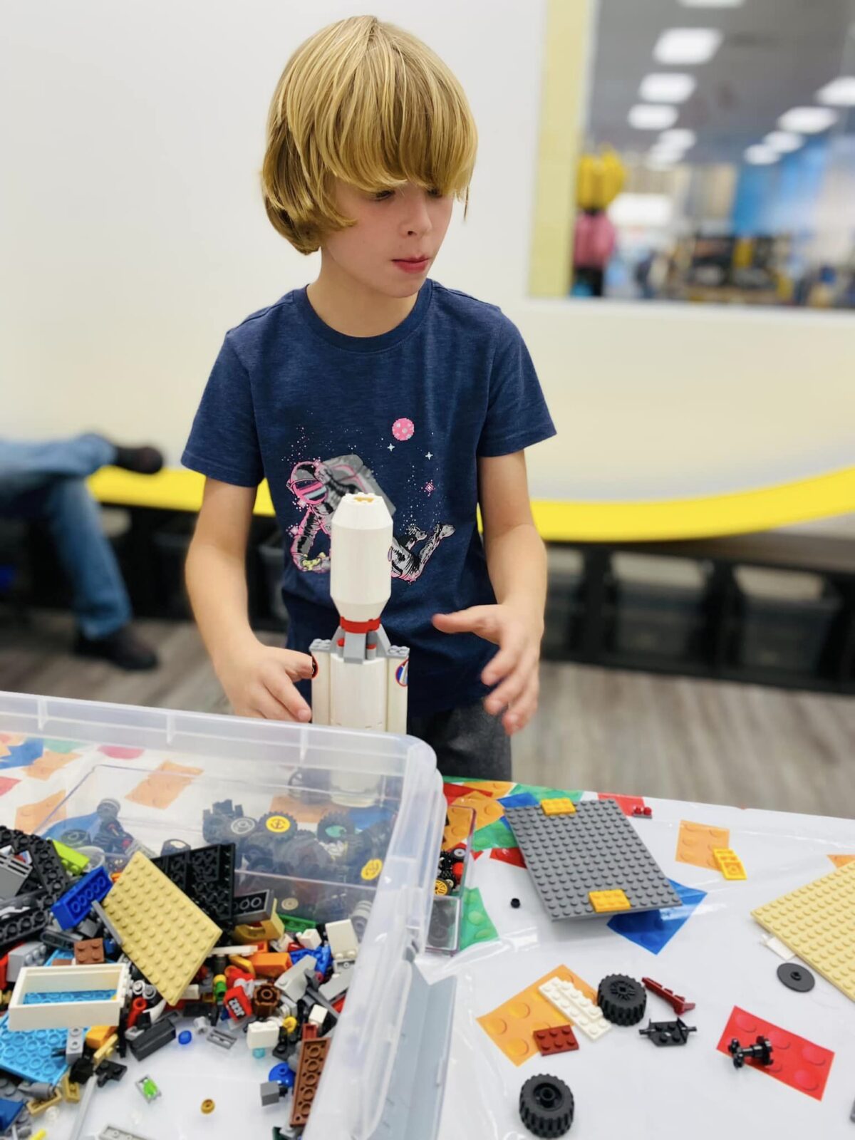Used LEGO Store in St Petersburg - Bricks & Minifigs Near Tyrone Mall