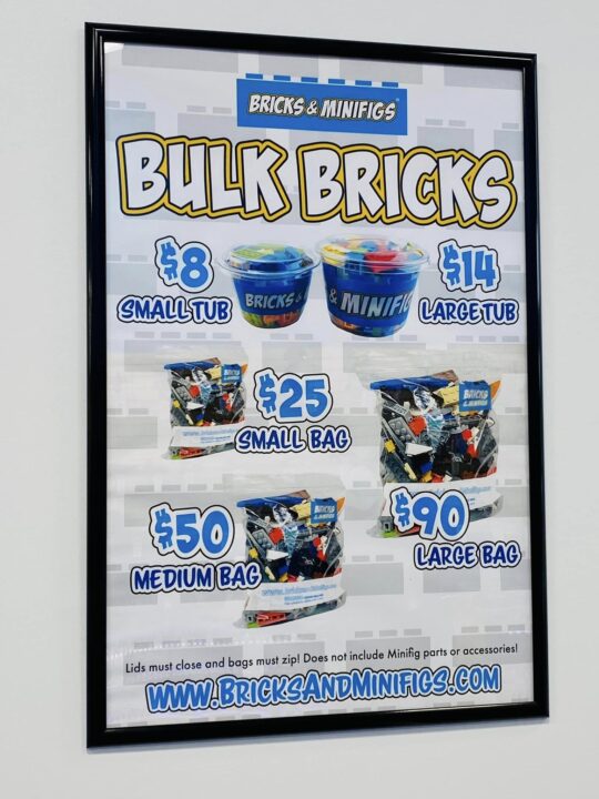 Used LEGO Store in St Petersburg - Bricks & Minifigs Near Tyrone Mall